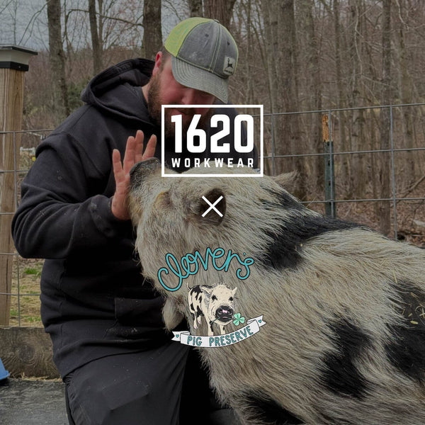 BEHIND THE BLUEPRINT: How One Couple's Mission is Saving Pigs—and Rede ...